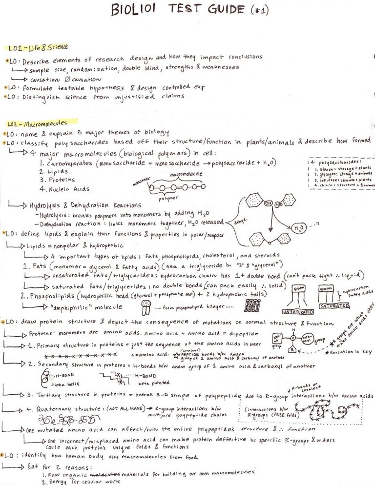BIOL 101: Principles of Biology study guides for all Tests | StudyLast