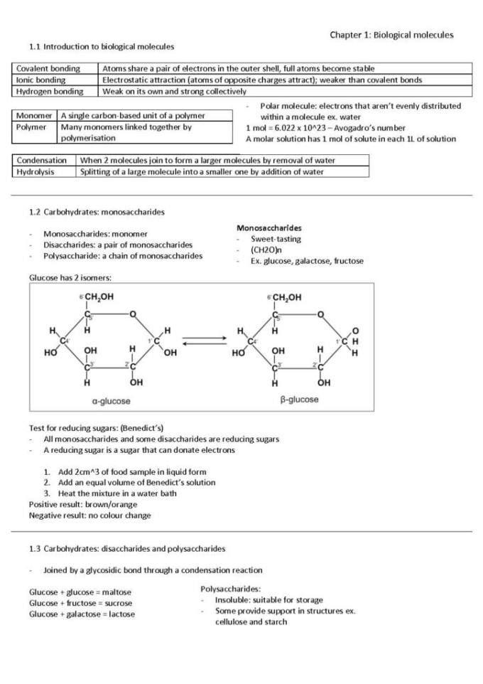 Notes for Biology AS Level (7401) at AQA (GCE) AS and A Level | StudyLast