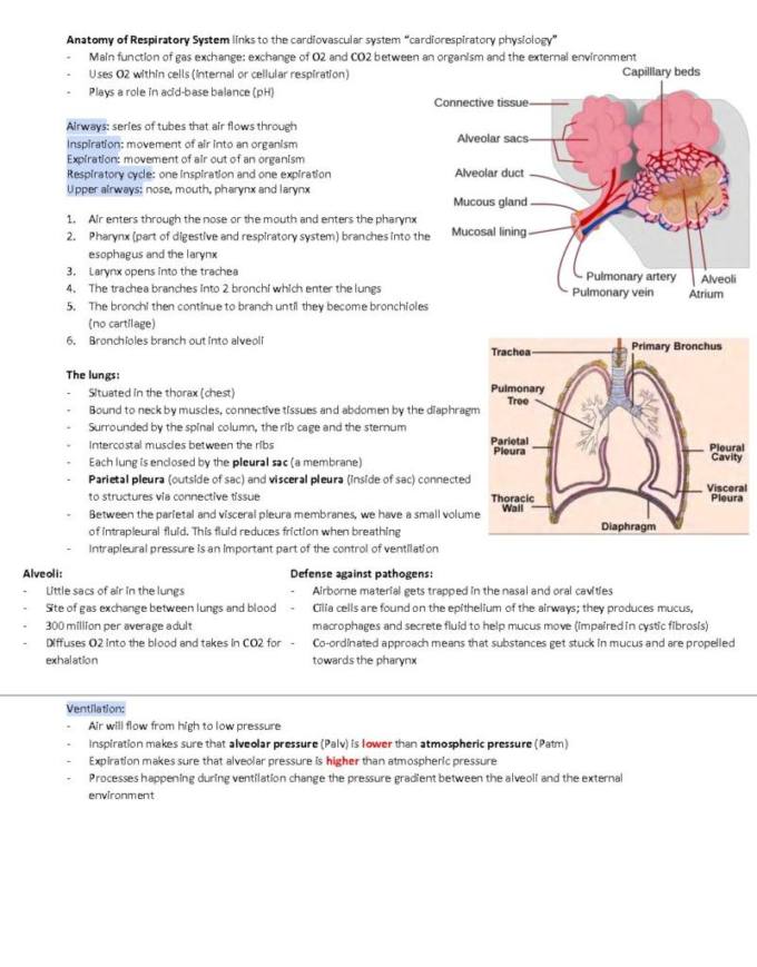 Notes for Physiological Systems (PS-B121) at Manchester Metropolitan ...