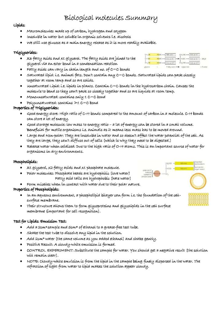 Notes for Biology A Level (7402) at AQA (GCE) AS and A Level | StudyLast