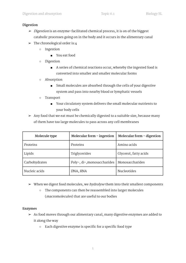 Human Physiology: IB Biology Topic 6 (SL and HL) complete notes | StudyLast