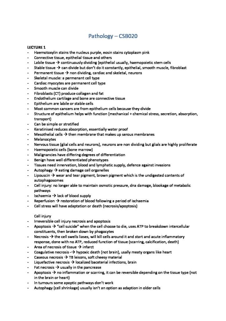 Systematic Imaging Pathology (CSB020) cheat sheet | StudyLast