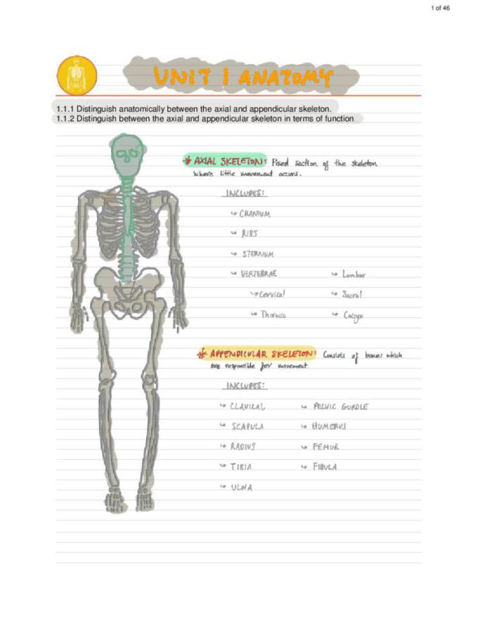 IB Sports, Exercise and Health Science (SL) all core summary SEHS notes ...