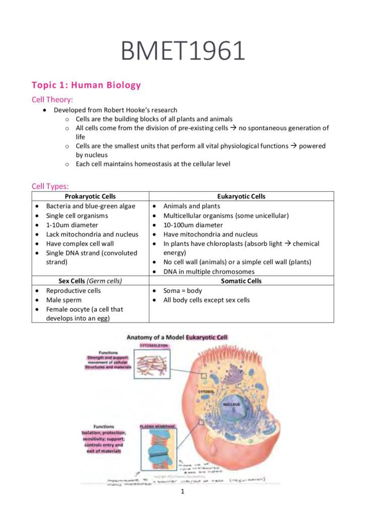 Notes for Biomedical Engineering 1B (BMET1961) at University of Sydney ...