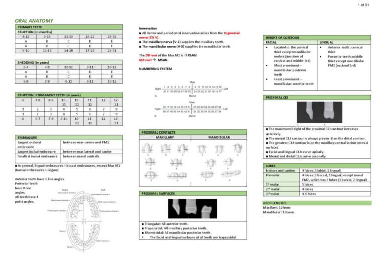 Notes for Dental Anatomy and Occlusion (NBDE I) at National Board ...