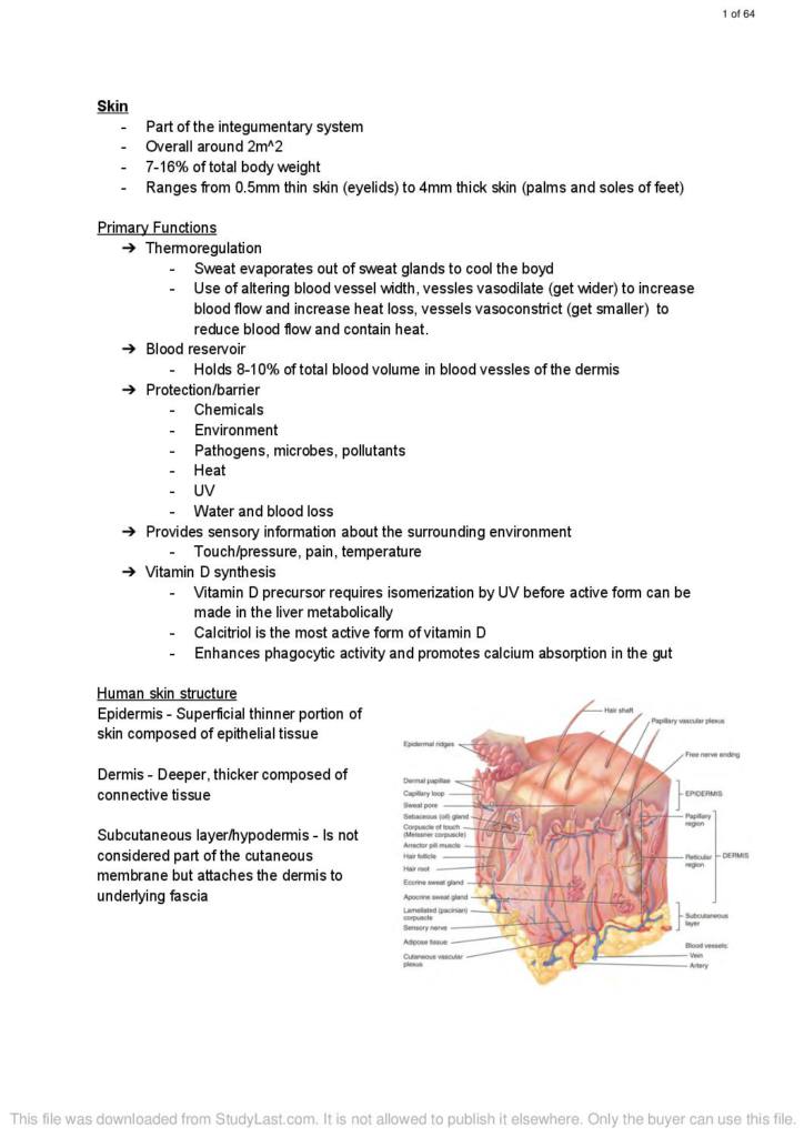 Cellular Processes (BIOSCI 107) topic notes | StudyLast