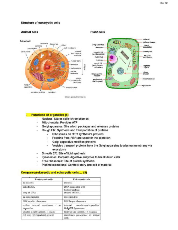 IB Biology HL Key Topics Summary Notes StudyLast IB Biology HL Key Topics Summary Notes StudyLast