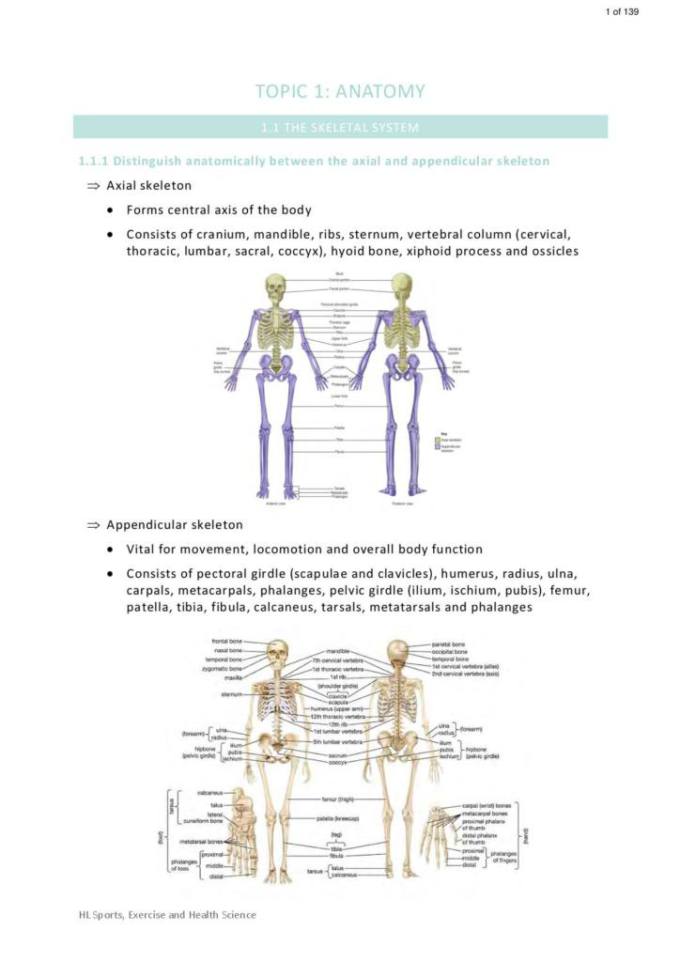 IB SEHS (Sports, Exercise and Health Science) HL notes | StudyLast