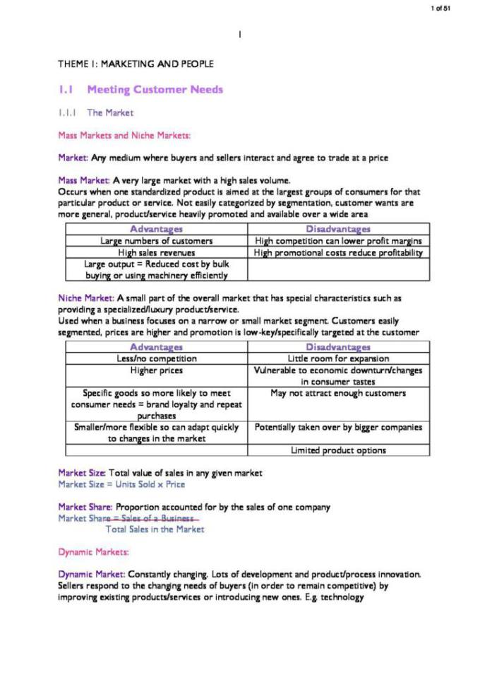 Marketing and People (Theme 1) Edexcel A Level Business notes | StudyLast