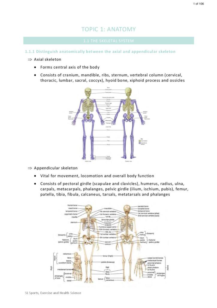 IB Sports, Exercise and Health Science (SEHS) SL notes | StudyLast