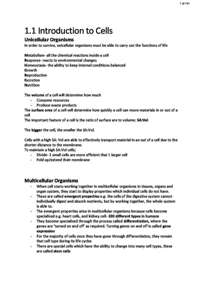 IB Biology Higher Level HL Notes StudyLast IB Biology Higher Level HL Notes StudyLast
