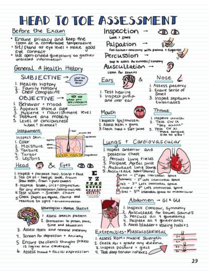 Assessment Bundle Nursing Notes To Pass NCLEX RN Or LPN StudyLast