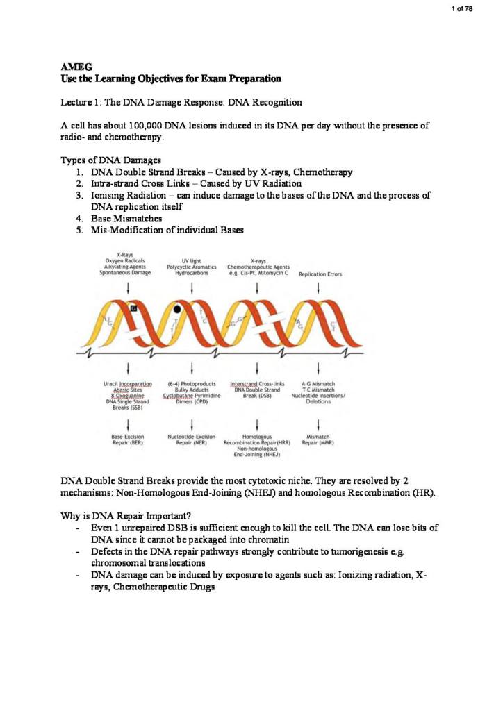 Advanced Molecular Genetics (B900) lecture notes | StudyLast