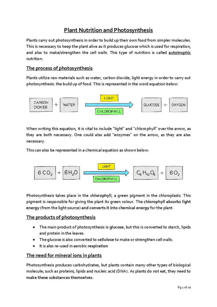 Notes for Edexcel iGCSE Biology (4BI1) at Edexcel International GCSEs ...