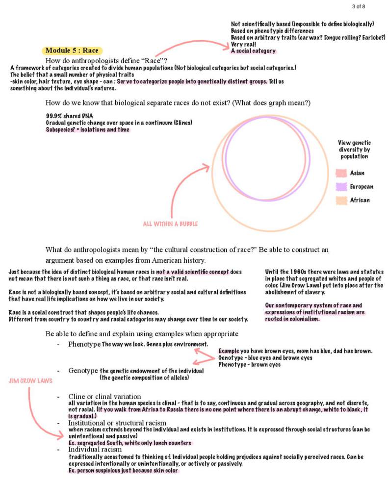 Notes for Sociocultural Diversity (ANP 201) at Michigan State ...