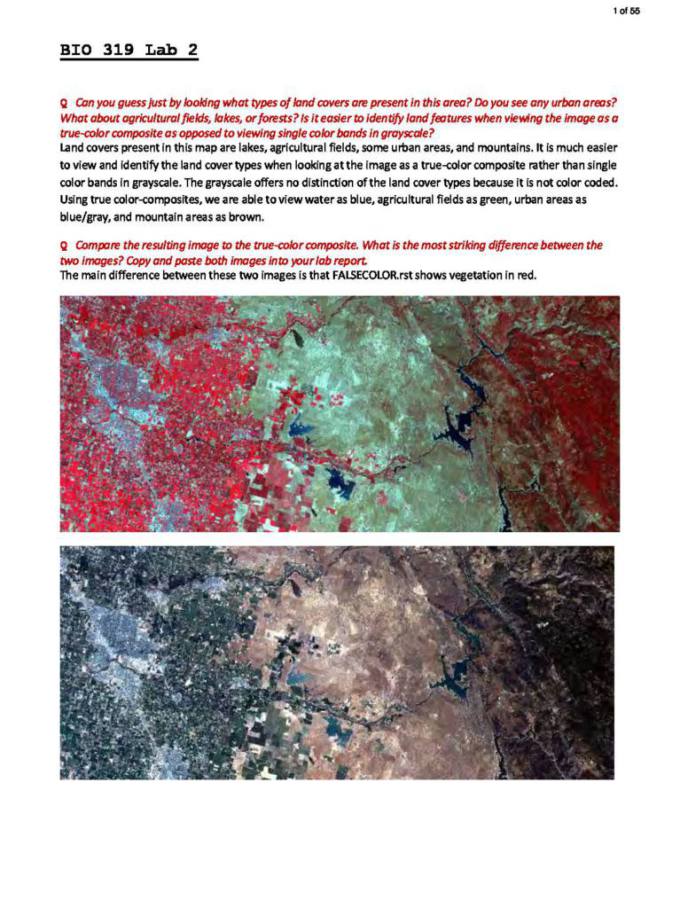 Practicals & Lab | StudyLast