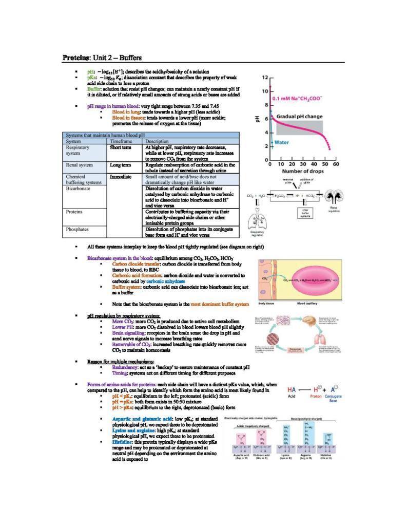 Foundations of Biochemistry (BIOSCI 106) complete notes bundle | StudyLast