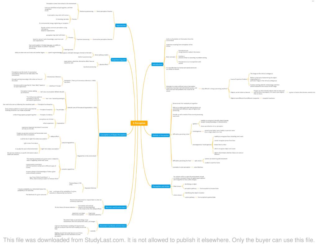 Cognitive Psychology (PSY2236) mindmaps | StudyLast