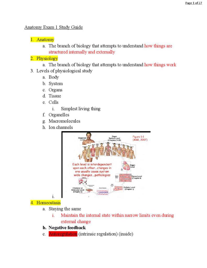 Notes for Anatomy and Physiology II (BIOL 208) at University of ...