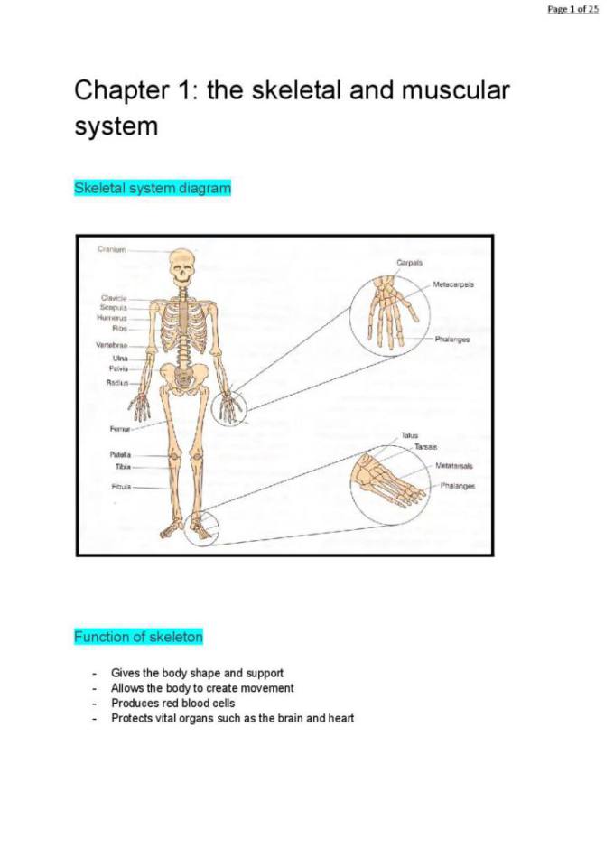 GCSE PE 2023 complete summary notes | StudyLast
