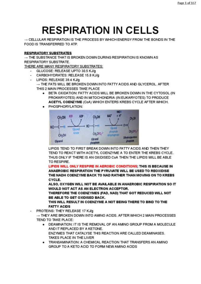 Notes for A Level Biology B (9BI0) at Edexcel (GCE) AS and A Level ...