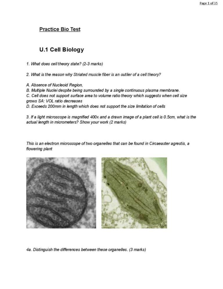 IB Biology (SL&HL) practice questions | StudyLast
