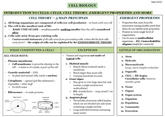 IB DP SL Biology compact summary notes | StudyLast
