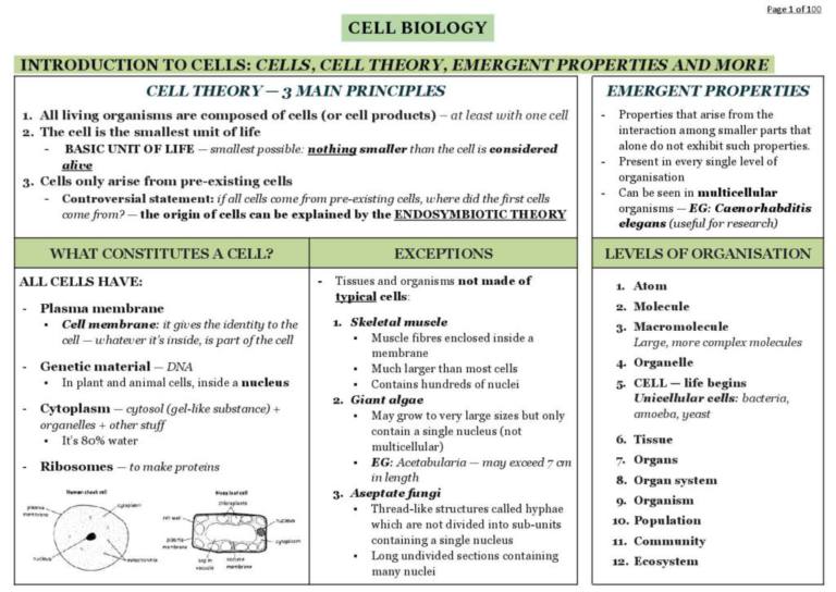 IB DP SL Biology compact summary notes | StudyLast