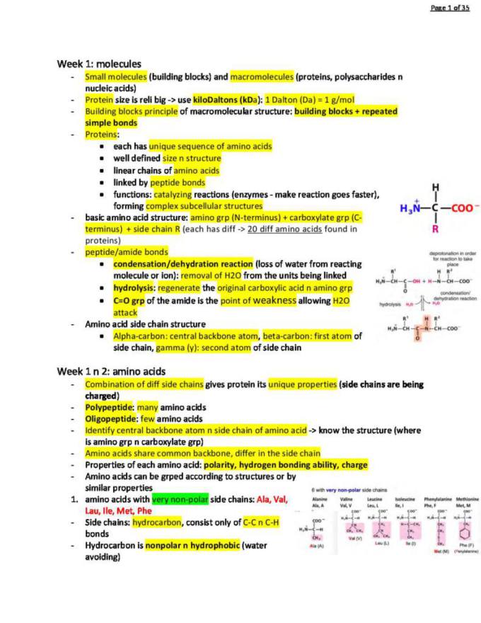 Notes for Introduction to Biochemistry (BIOC 2580) at University of ...