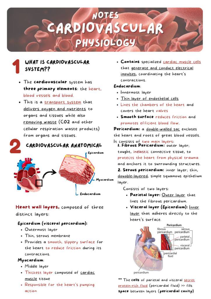 Notes for Advanced Cardiovascular Physiology (MD677 722) at Khon Kaen ...